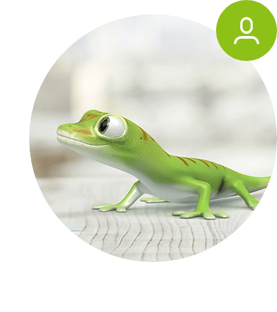 eGECKO – Business Software für den Mittelstand